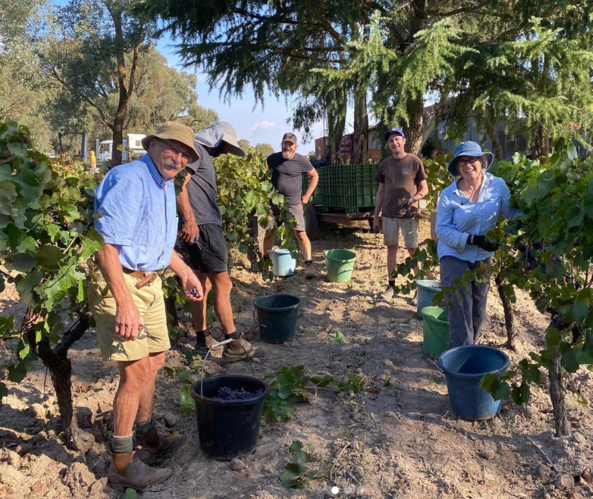 Pennyweight Winery! – P&V Merchants